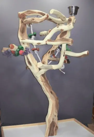 8 Must-Try DIY Bird Tree Stand Ideas - Birds Coo