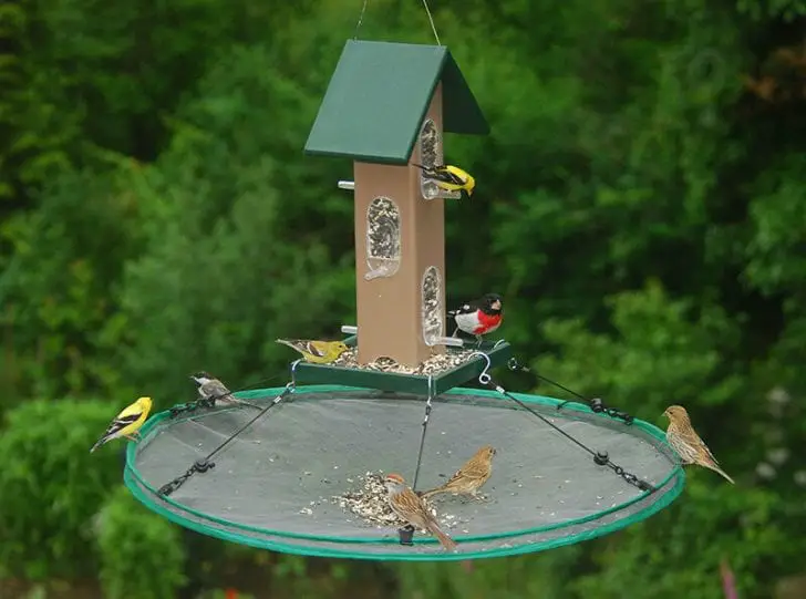 Seed Catcher Every Bird Cage s Must Have Birds Coo seed-catcher-every-bird-cage-s-must-have-birds-coo