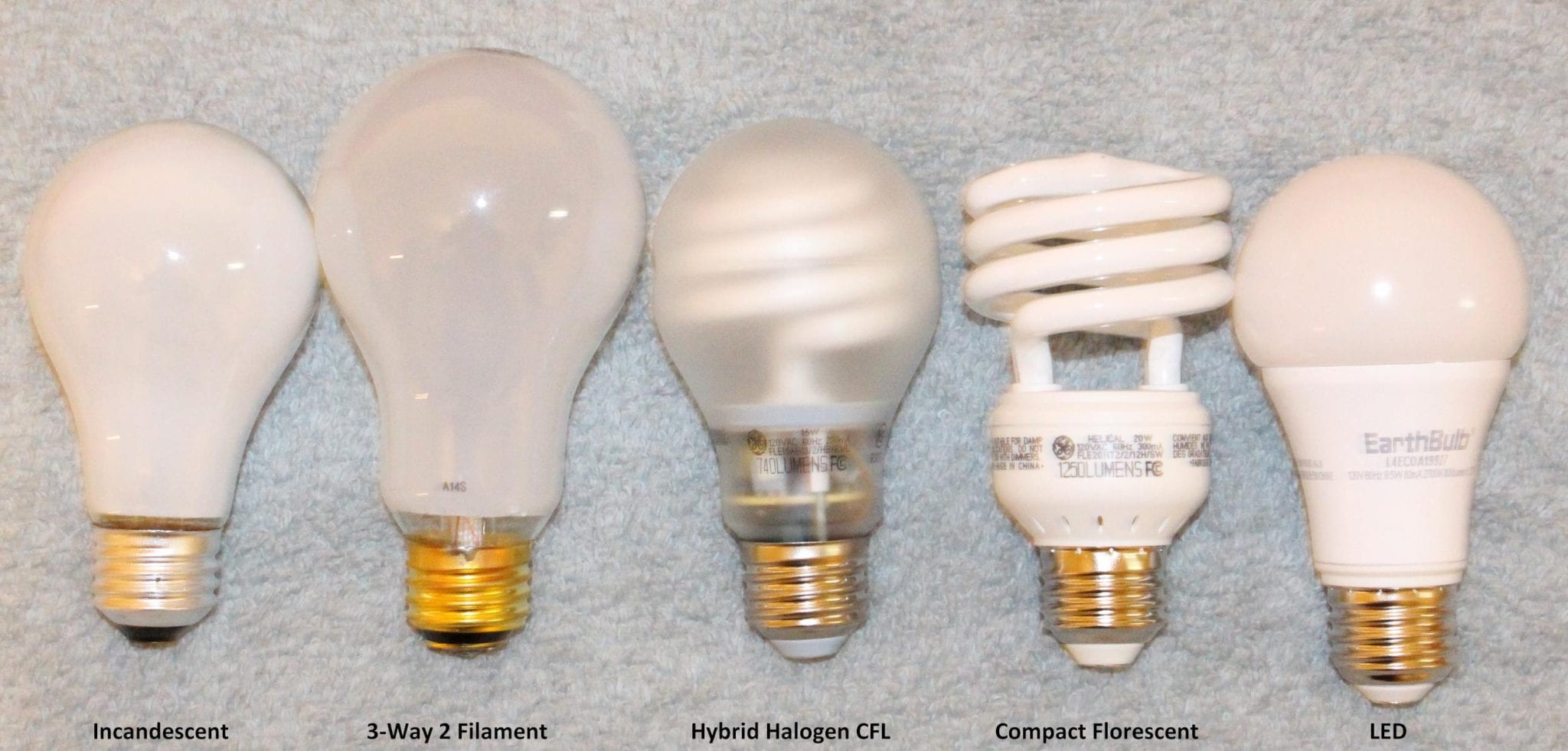 Why Having Full Spectrum Light for Birds is Beneficial? - Birds Coo