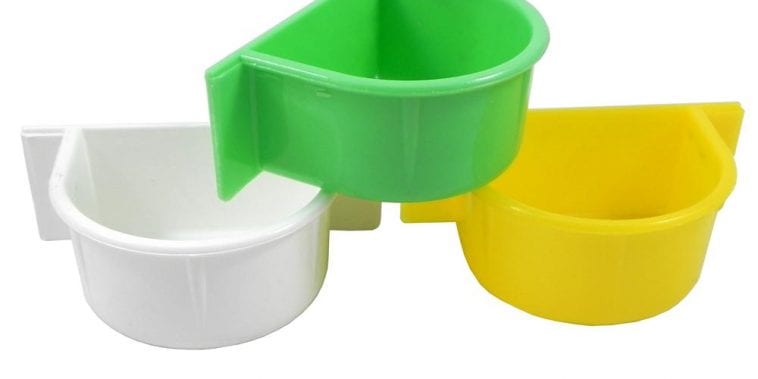 How to Wrap a Bird's Broken Wing: Avian First Aid Basics - Birds Coo